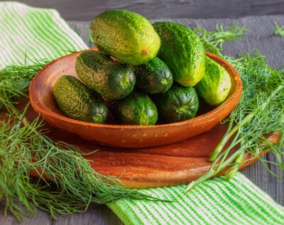 All About Dill - Health Benefits of Dill plus Recipes that Include it.